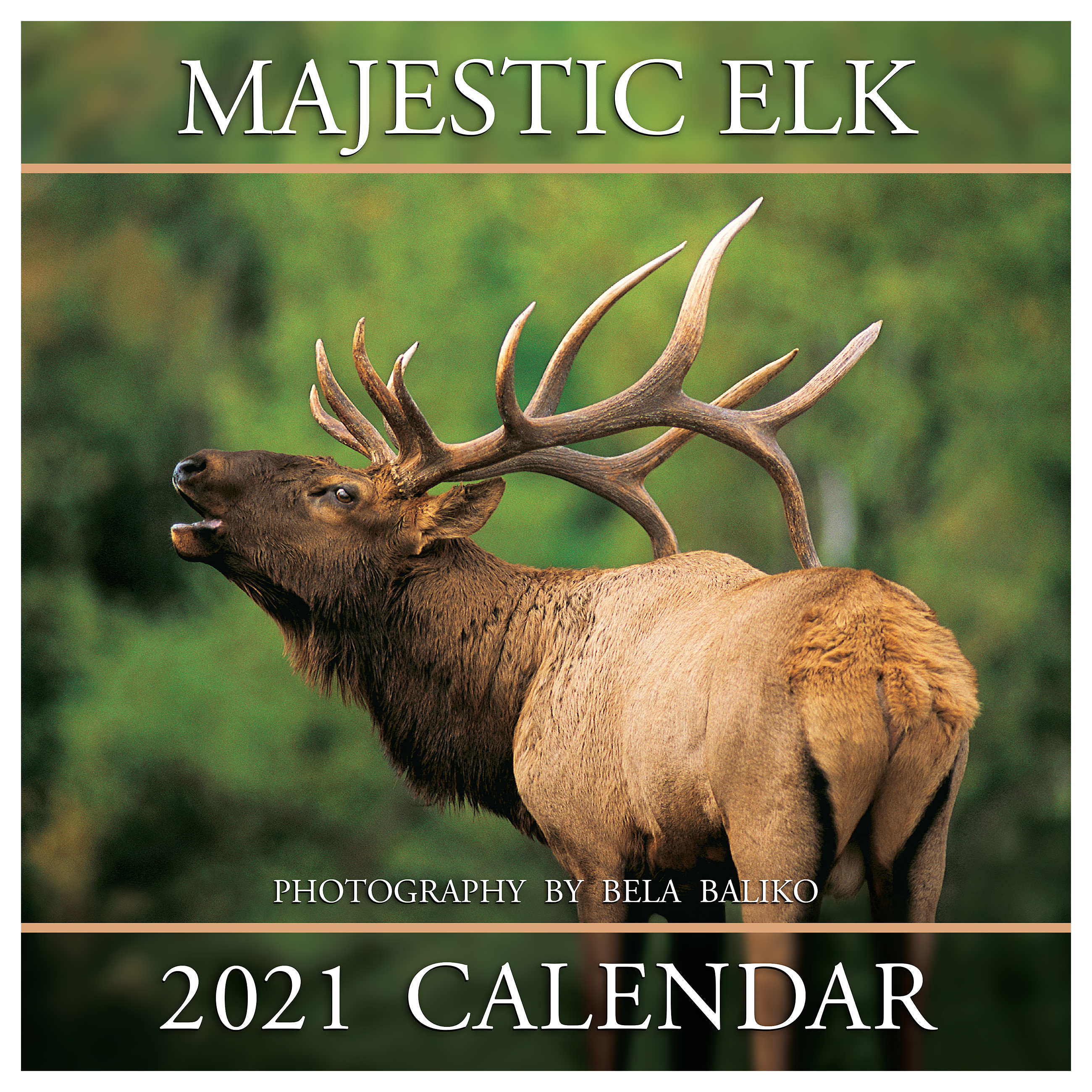 Bela Baliko 2021 Majestic Elk Calendar | Bass Pro Shops